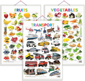 Set of 3 Fruits, Vegetables and Transport Early Learning Educational ...