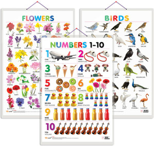 Set of 3 Birds, Flowers and Numbers 1-10 Early Learning Educational ...
