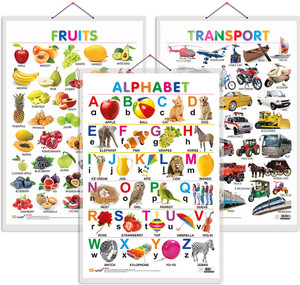 GO WOO Pack of 3 Alphabet, Fruits and Transport Educational charts ...