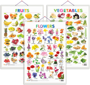 Set of 3 Fruits, Vegetables and Flowers Early Learning Educational ...