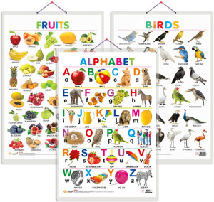 Set of 3 Alphabet, Fruits and Birds Early Learning Educational Charts ...