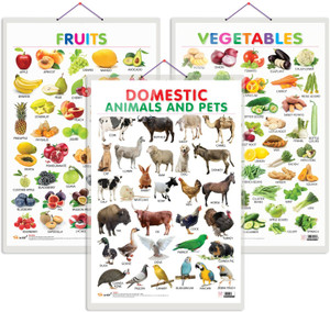 Set of 3 Fruits, Vegetables and Domestic Animals and Pets Early ...