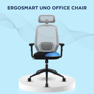 ErgoSmart SmartGRID UNO High-Back Ergonomic Mesh Office Executive Chair Price in India - Buy ...