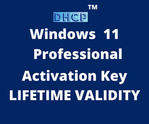 dhcp WINDOWS 11 Professional 32BIT, 64BIT - dhcp : Flipkart.com