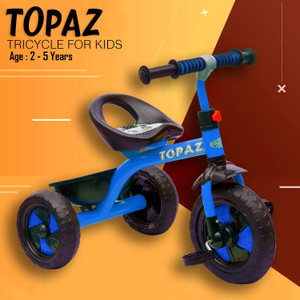 PANDA TOPAZ RIDER Bike Battery Operated Ride On Price in India - Buy PANDA TOPAZ RIDER Bike ...