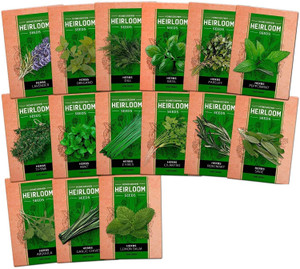 CYBEXIS Herb Seeds Bundle - 15 Heirloom Herb Variety Seed Price in ...