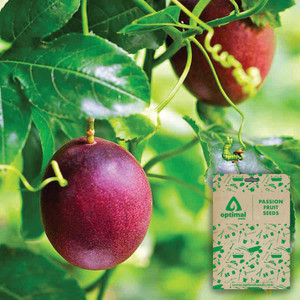 Optimal Seeds Passion Fruit Seed Price in India - Buy Optimal Seeds Passion Fruit Seed online at ...