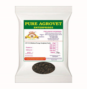 PURE AGROVET ENTERPRISES CSV 33 MF Multicut Forage Sorghum Grass seeds for Animal Husbandry (2 ...