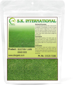 SK ORGANIC Selection 1 Lawn (Doob) Grass seeds for Garden and Farmhouse Seed Price in India ...