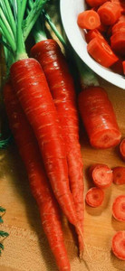 RUDAN Nutri-Red' Carrot Seed Price in India - Buy RUDAN Nutri-Red' Carrot Seed online at ...