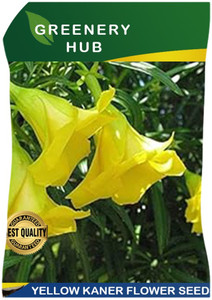 Greenery Hub Yellow Kaner (Oleander) Flower Seeds - Bright and Beautiful Blooms Seed Price in ...