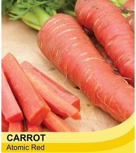 RUDAN Carrot 'Atomic Red' Seed Price in India - Buy RUDAN Carrot 'Atomic Red' Seed online at ...