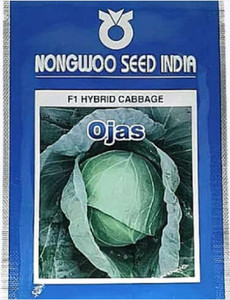 NONGWOO Cabbage, Ojas Seed Price in India - Buy NONGWOO Cabbage, Ojas Seed online at Flipkart.com