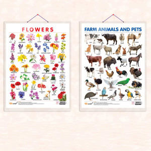 FLOWERS CHART HARD LAMINATED and FARM ANIMALS AND PETS CHART HARD ...