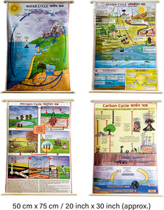 Water, Oxygen, Nitrogen, Carbon Cycle Set of 4 lamination Charts ...