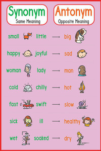 Kids Educational Wall Sticker Poster On "Antonyms & Synonyms"|Kids Early Learning Wall Sticker ...