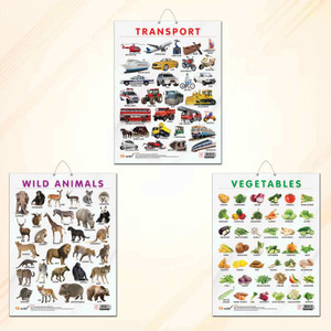 TRANSPORT CHART GLOSS LAMINATED, VEGETABLE CHART GLOSS LAMINATED, and ...