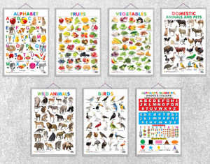 Alphabet, Fruits, Vegetables, Domestic Animals and Pets, Wild Animals ...