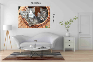 Cat With Black Strips Poster|Decorative Wall Paper Poster|Cute Cat Wall ...