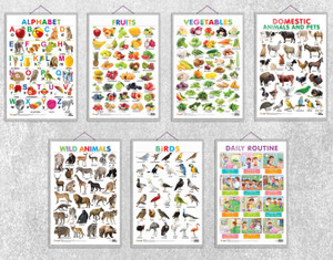 Alphabet, Fruits, Vegetables, Domestic Animals & Pets, Wild Animals ...