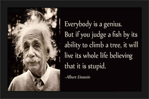 Albert Einstein Motivational Poster with A4 Frame F-127 Paper Print ...