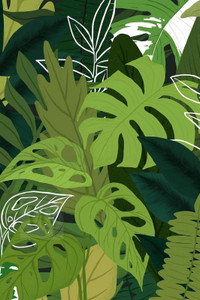 Jungle Theme Poster | Jungle Posters for Room | Unframed | With Self ...