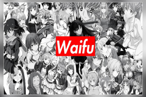 Waifu X No Waifu No Laifu Anime Anime Girls Matte Finish Poster P Paper Print Animation