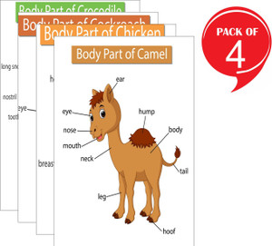 animal body parts, educational poster for school,school poster for kids ...