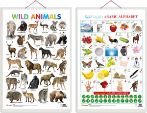 Set of 2 Wild Animals and Arabic Alphabet (Arabic) Early Learning ...