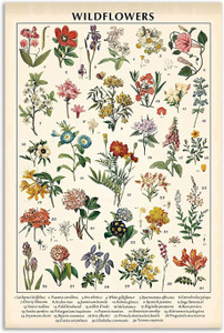 Vintage Flower Poster Botanical Wall Art Canvas Prints Colorful ...