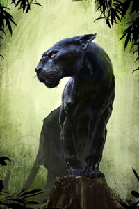 Wildlife Animal Black Panther Poster | Panther Posters for Room ...