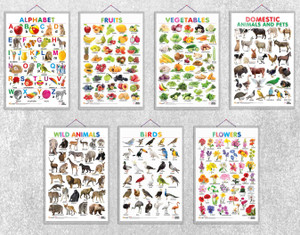 Alphabet, Fruits, Vegetables, Domestic Animals and Pets, Wild Animals ...