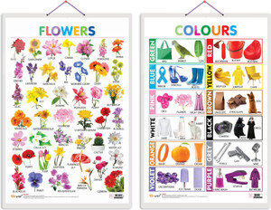 Set of 2 Flowers and Colours Early Learning Educational Charts for Kids ...