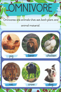 "Omnivore Animals Name" Sticker Poster For Kids Education|Early ...