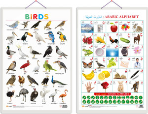 Set of 2 Birds and Arabic Alphabet (Arabic) Early Learning Educational ...