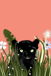Wildlife Animal Black Panther Poster | Panther Posters for Room ...
