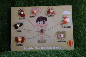 Plus Shine Body Part Anatomy Board Montessori Puzzle Human Body ...