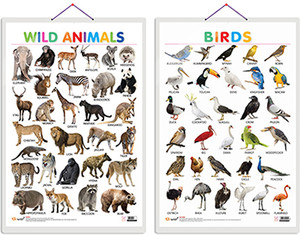 Set of 2 Wild Animals and Birds Early Learning Educational Charts for ...