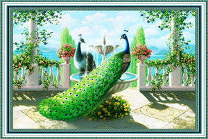 Peacock Poster - Peacock Colorful Poster - Birds Poster - Peacock Love ...
