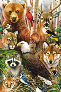 Wild Animals Poster - Forest Animals Poster - Jungle Animals Poster ...