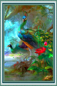 Peacock Poster - Peacock Colorful Poster - Birds Poster - Peacock Love ...
