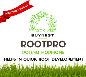 BUY NEST ORGANIC ROOTPRO ROOTING HORMONE FOR ROOTS GROWTH | POTTING MIXTURE Fertilizer Price in ...