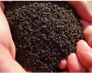 SEEDSART Soil Potting Mixture "Cow Dung" Vermicompost For Plants /1 KG Pack , bg285 Manure Price ...