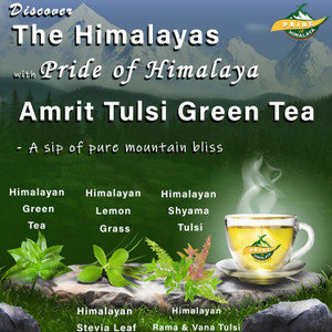 PRIDE OF HIMALAYA Tulsi Green Tea| With Pure Himalayan Herbs| Detox Green Tea Tulsi Green Tea ...