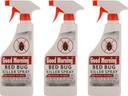 Good Morning Bed Bug Killer Spray - Buy Baby Care Products in India ...