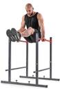 Allyson Fitness Dip stations, Height adjustable dip bar dip Stand Home ...