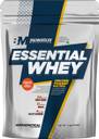 BIGMUSCLES NUTRITION Essential Whey Protein | 24g Protein with ...