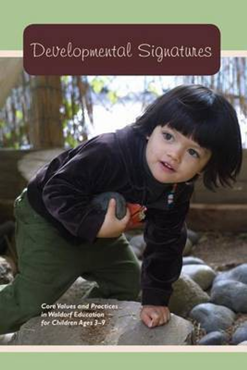 Developmental Signatures: Buy Developmental Signatures by ...