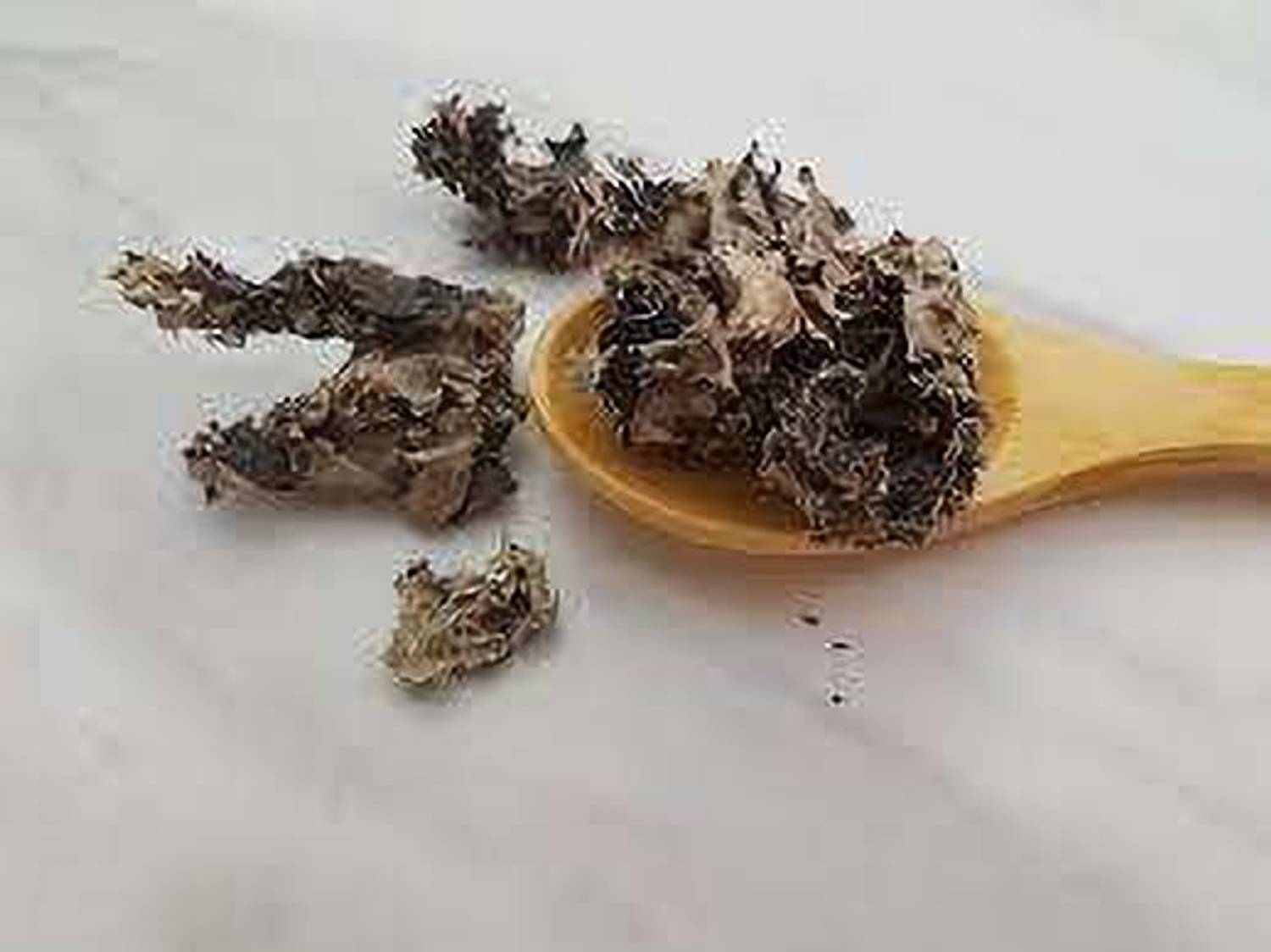 pathar phool in hindi