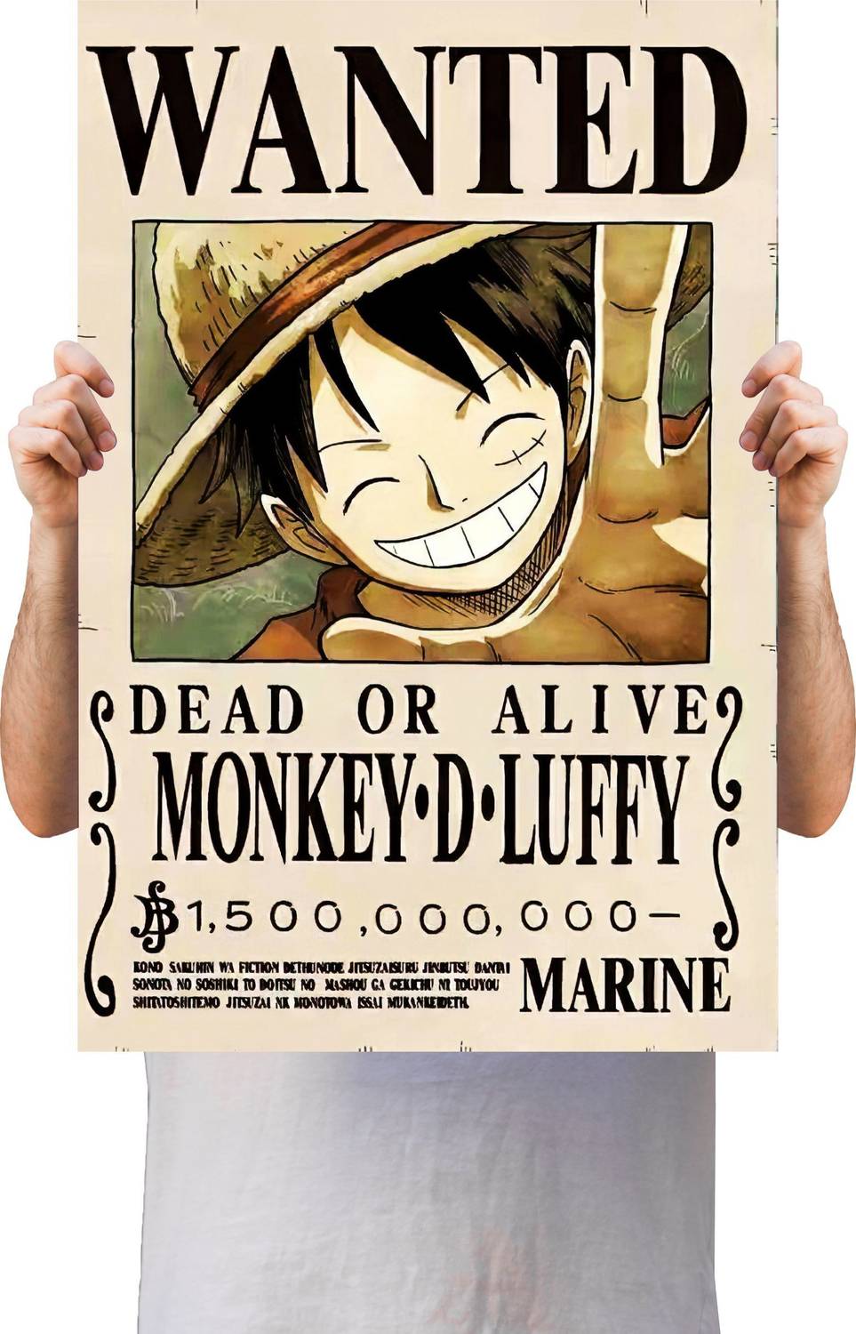 luffy poster theme